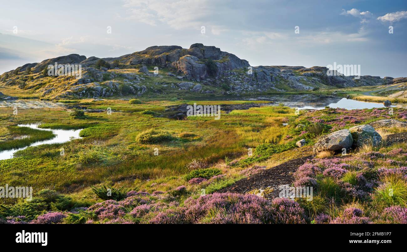 Coastal landscape, Eigeroya, Agder, Norway Stock Photo - Alamy