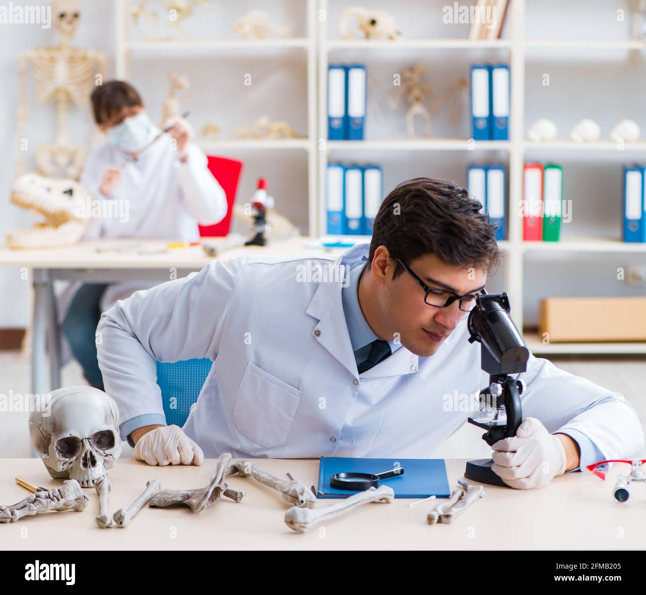 The professor studying human skeleton in lab Stock Photo - Alamy