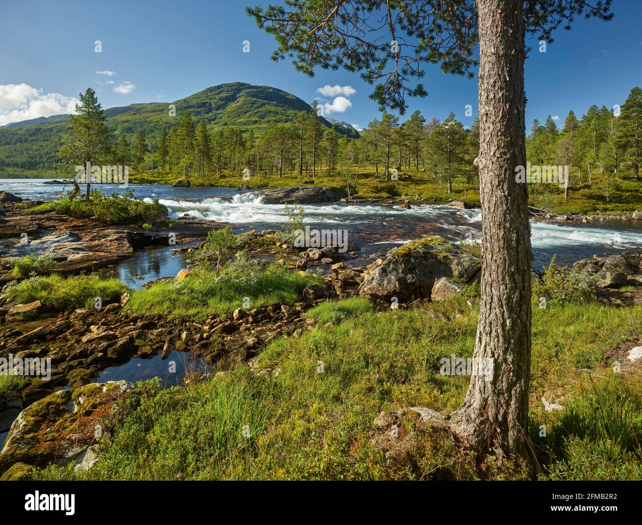 Gaula river hi-res stock photography and images - Alamy