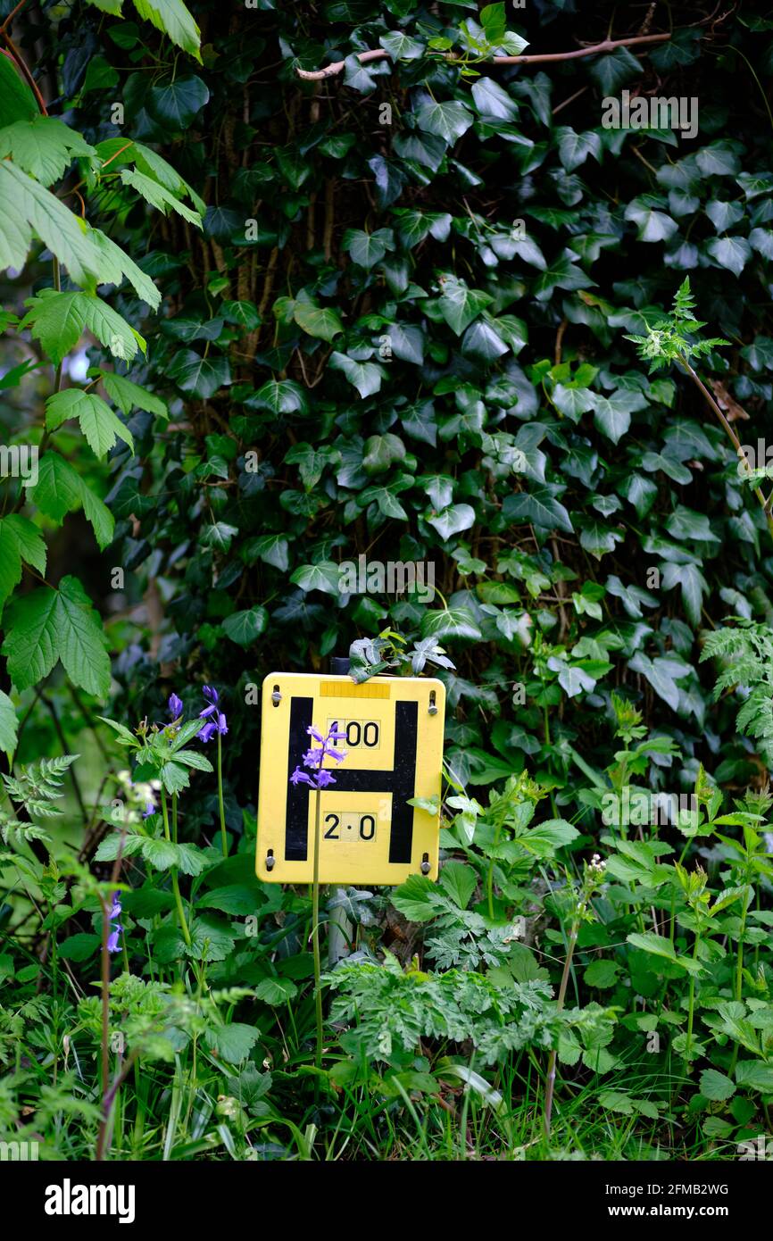 English fire hydrant hi-res stock photography and images - Alamy