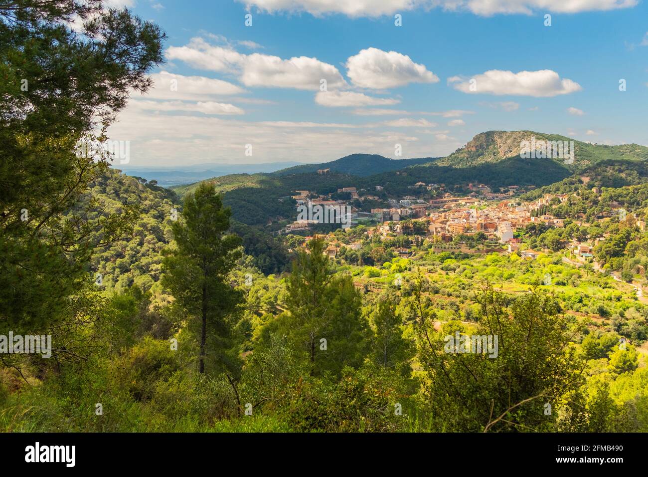 Serra Calderona Natural Park in Spain with beautiful trees on vast ...