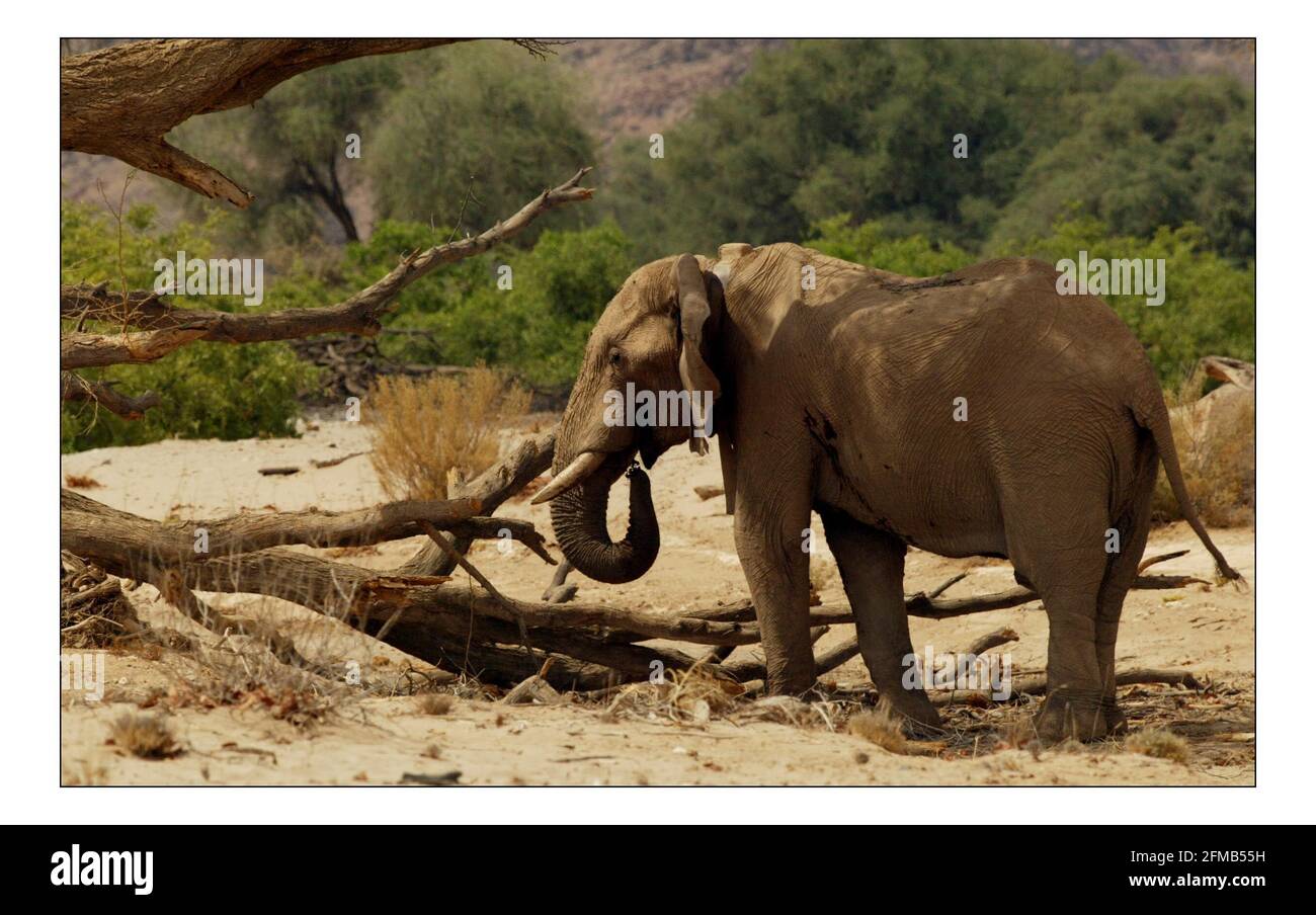 Independent Christmas Appeal......Integrated Rural Development and ...