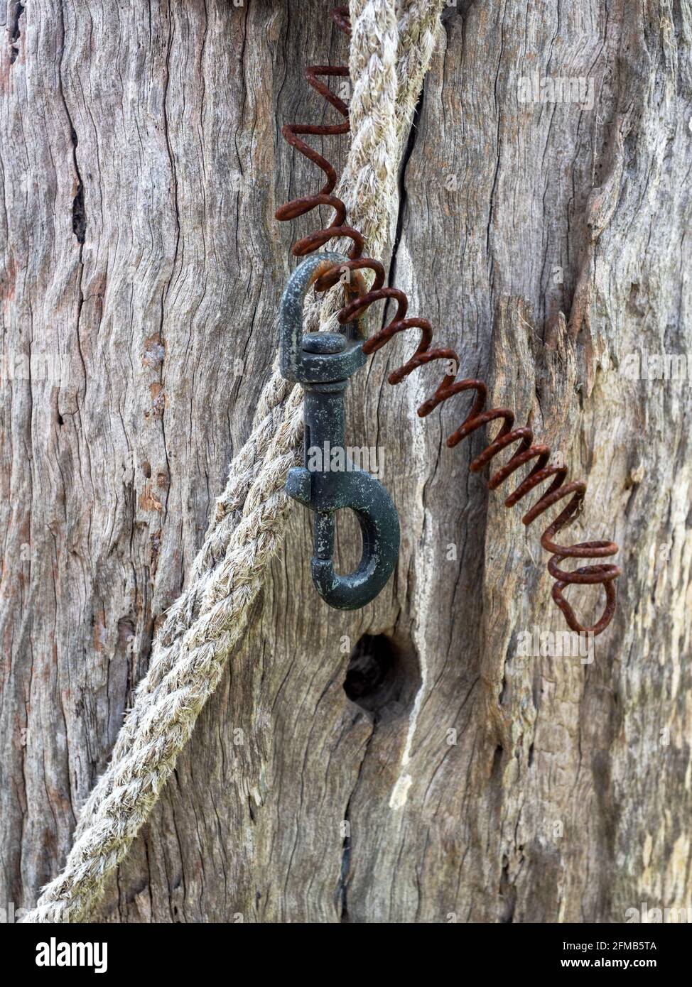 Old spring clip hanging on a rusted wire spiral with decaying rope ...