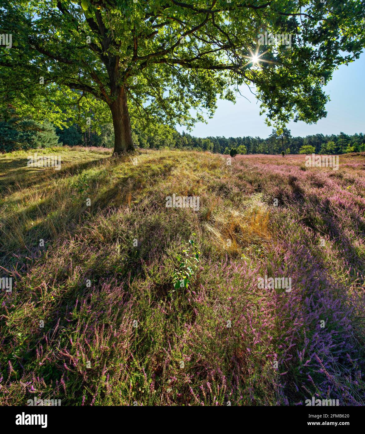 Stone age burial mound hi-res stock photography and images - Alamy