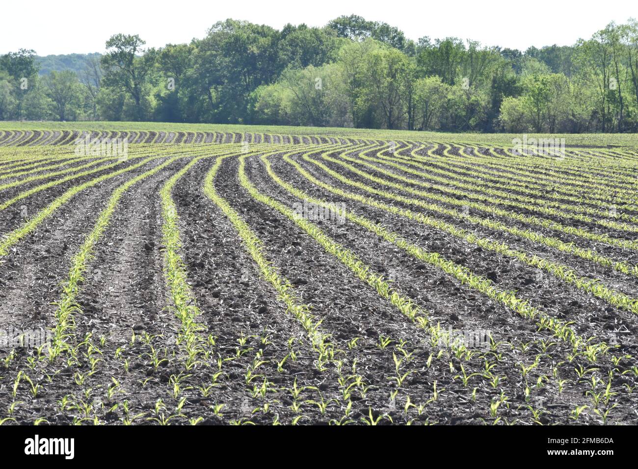 Midwest farm harvest hi-res stock photography and images - Alamy