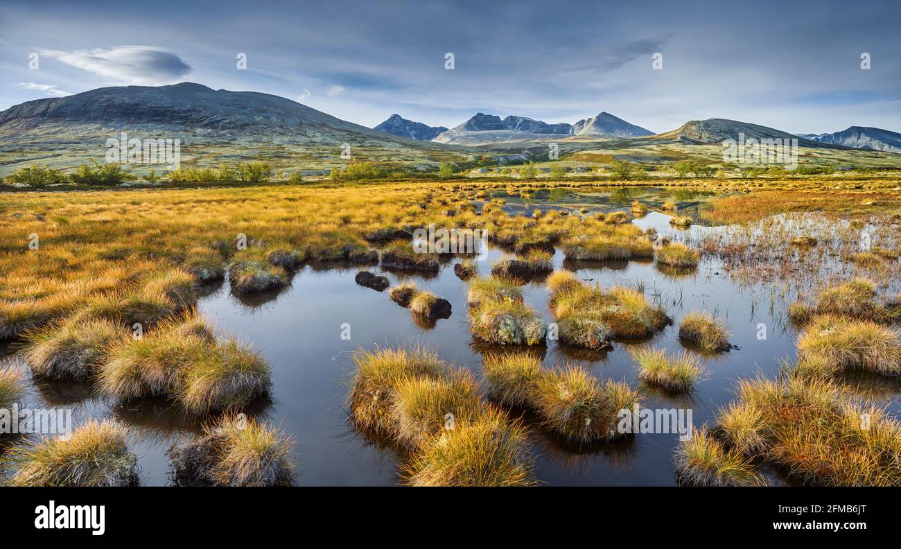 Swamp, pond, Högronden massif, Döralen, Rondane National Park, Oppland ...