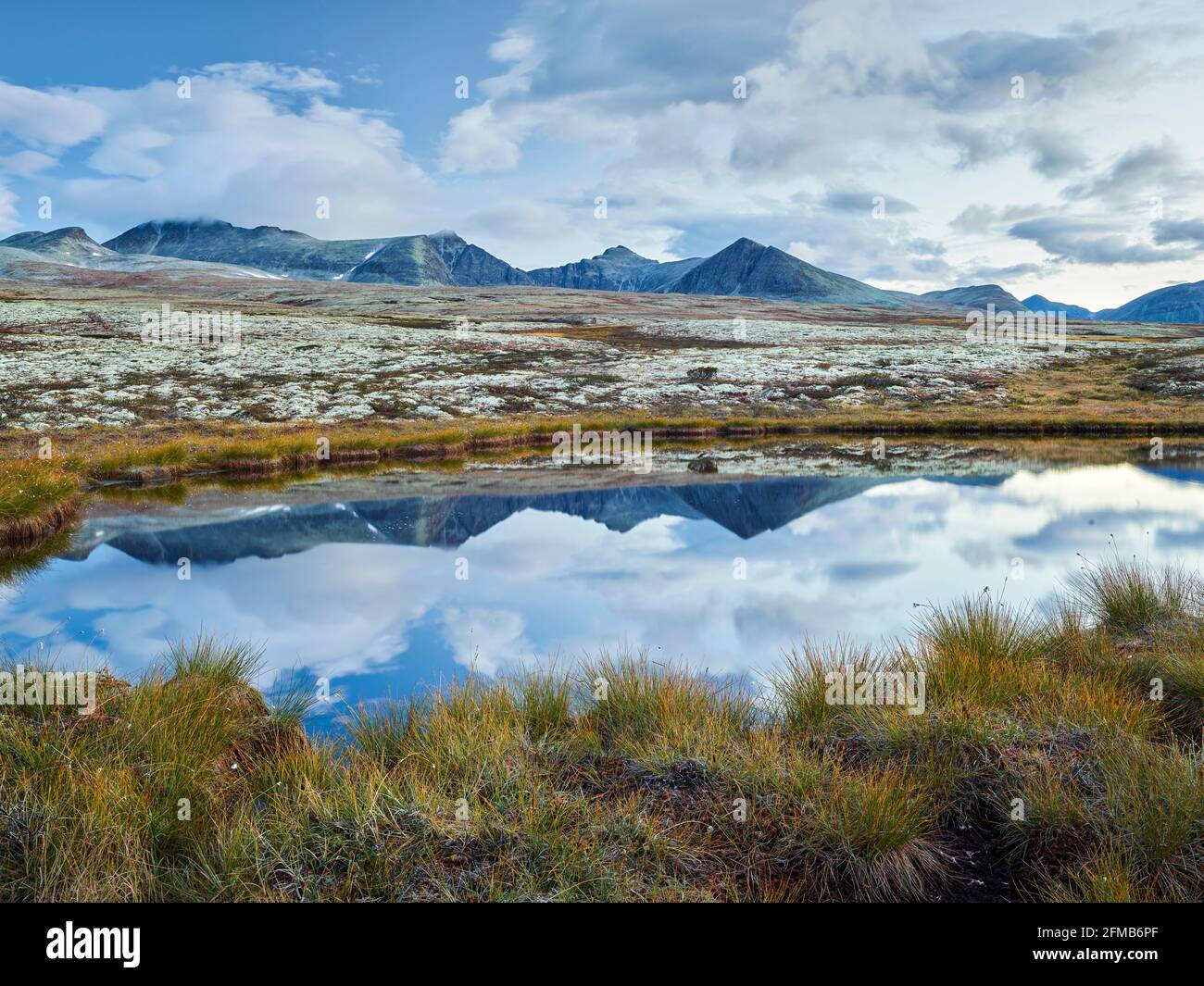 small lake, Rondane National Park, Oppland, Norway Stock Photo - Alamy