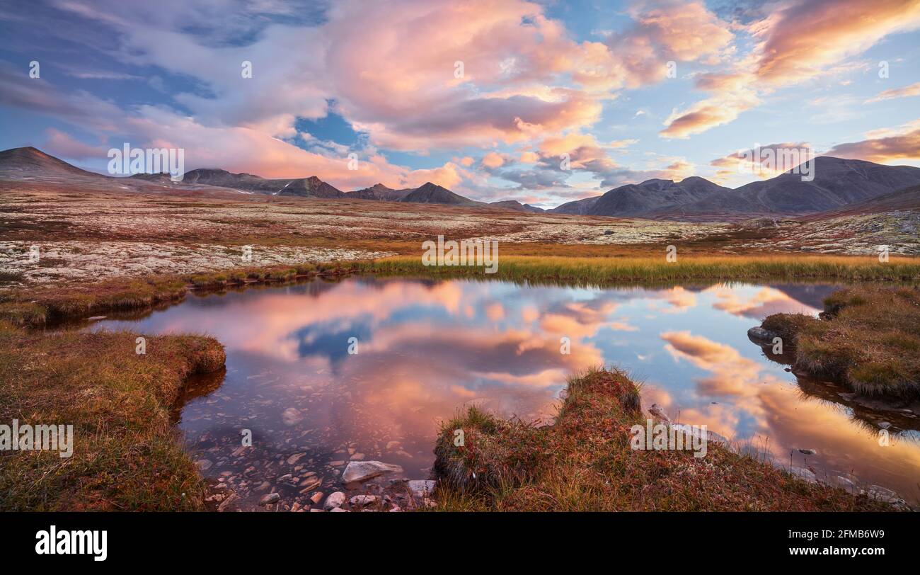 small lake, Rondane National Park, Oppland, Norway Stock Photo - Alamy