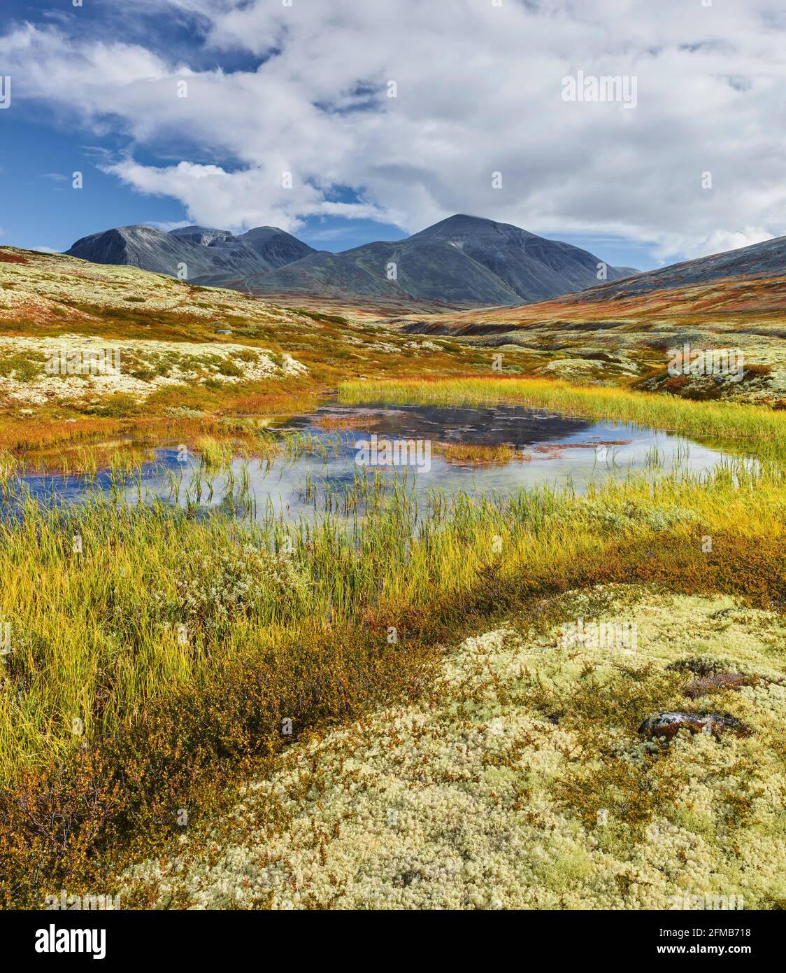 nameless lake, Rondslottet, Storronden, Rondane National Park, Oppland ...