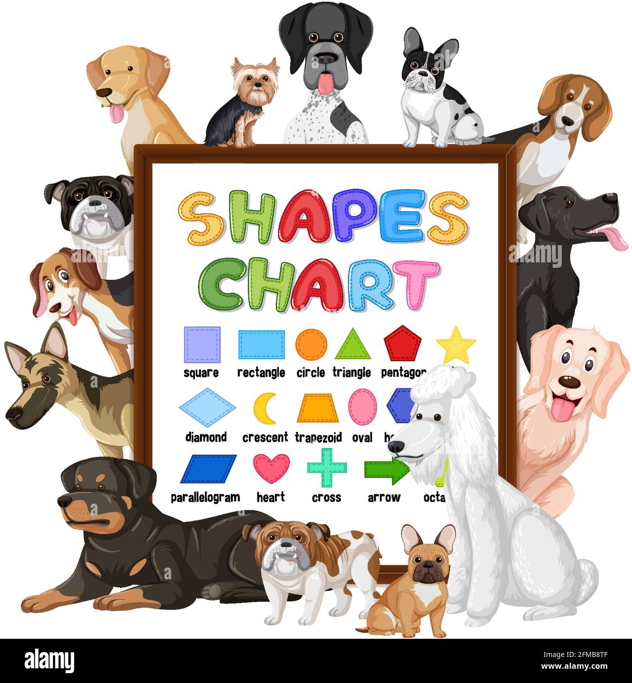 Shapes chart board with many cute dogs illustration Stock Vector Image ...