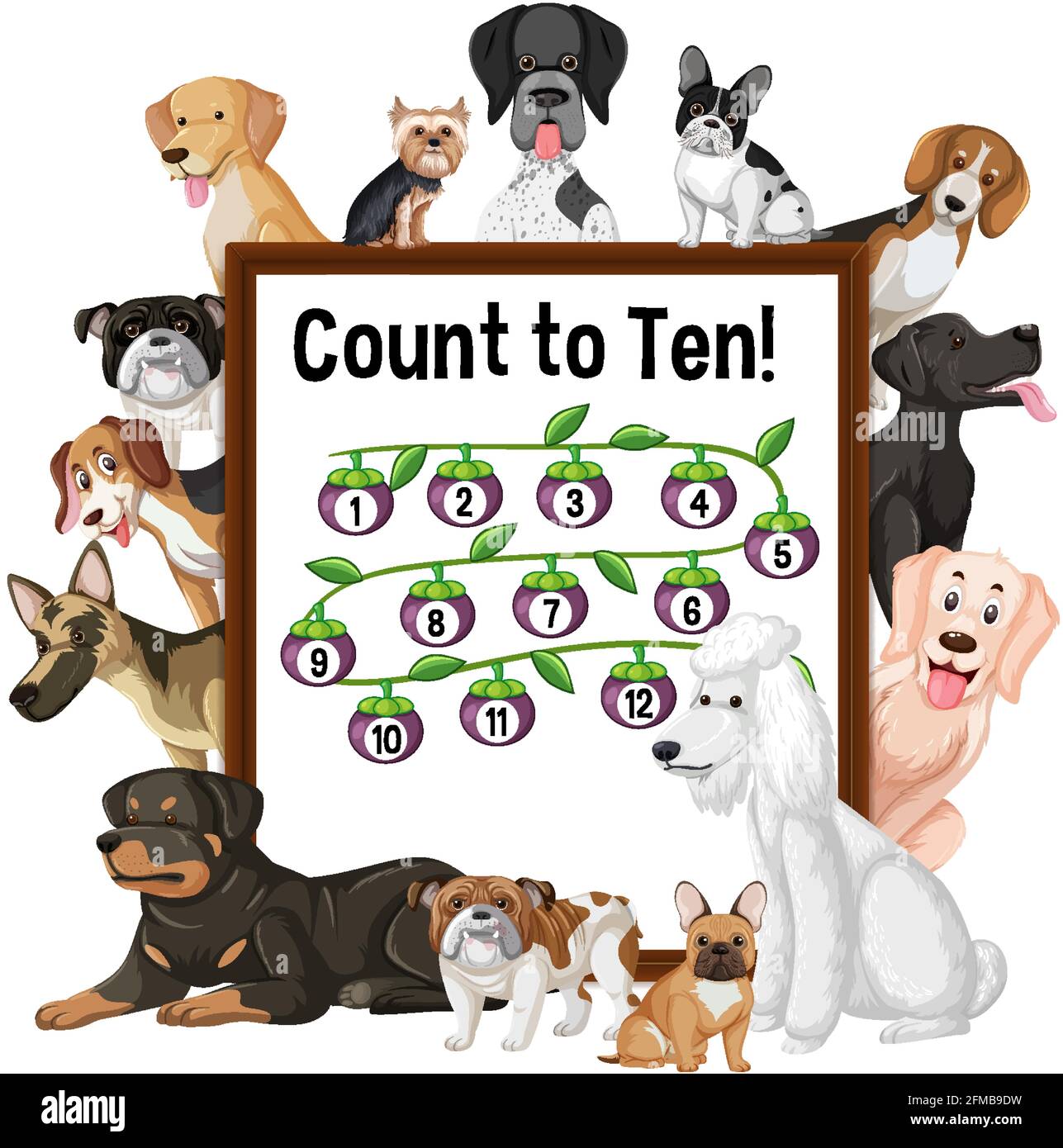Count to Ten board with many different types of dogs illustration Stock ...