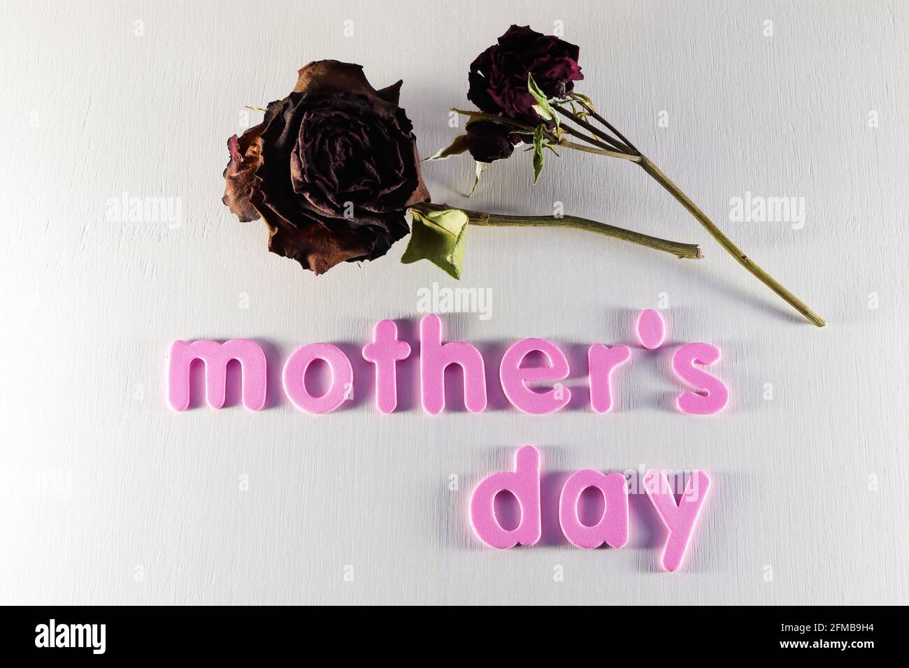 Old Red Roses Mother's Day On White Stock Photo - Alamy