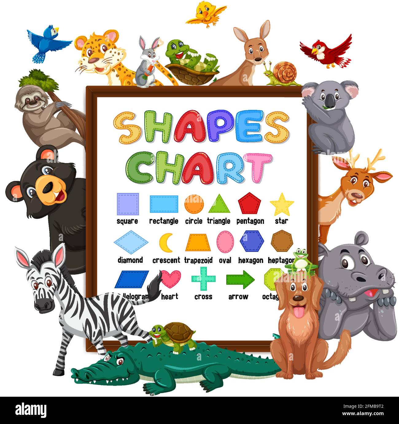 Types Of Animals Chart