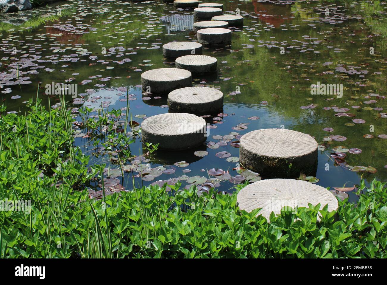Circular stepping stone path in garden pond Stock Photo - Alamy