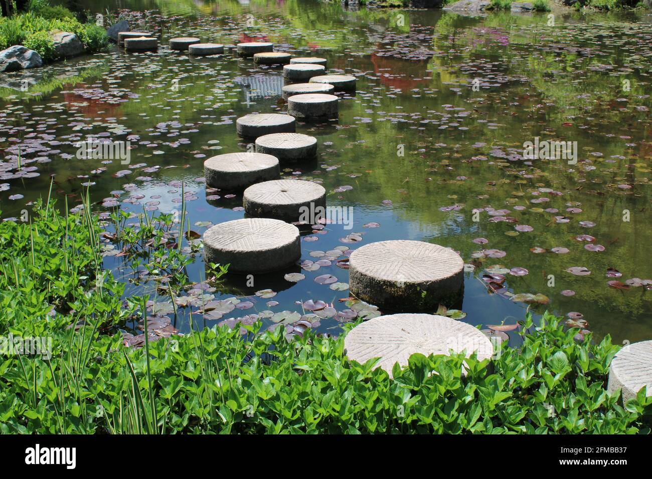 Garden pond water stepping stones hi-res stock photography and images ...