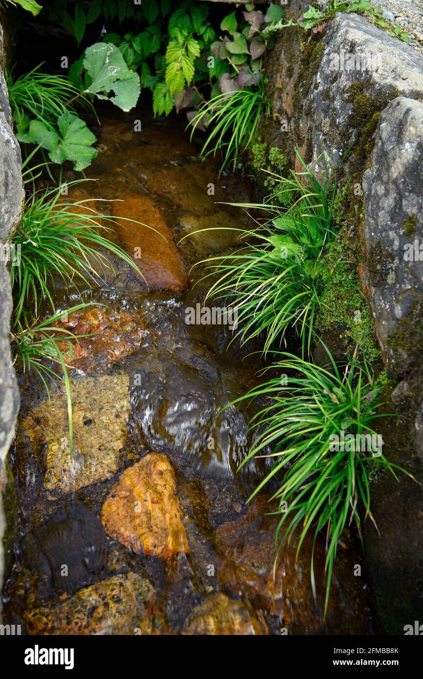 Natural drains or ditches, stone drains with trees and moss and clear ...