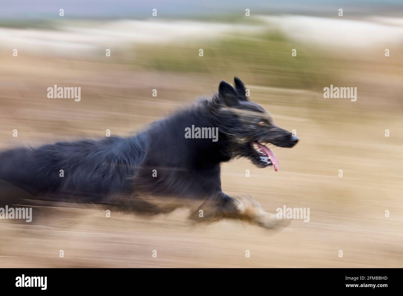 Speed astir hi-res stock photography and images - Alamy