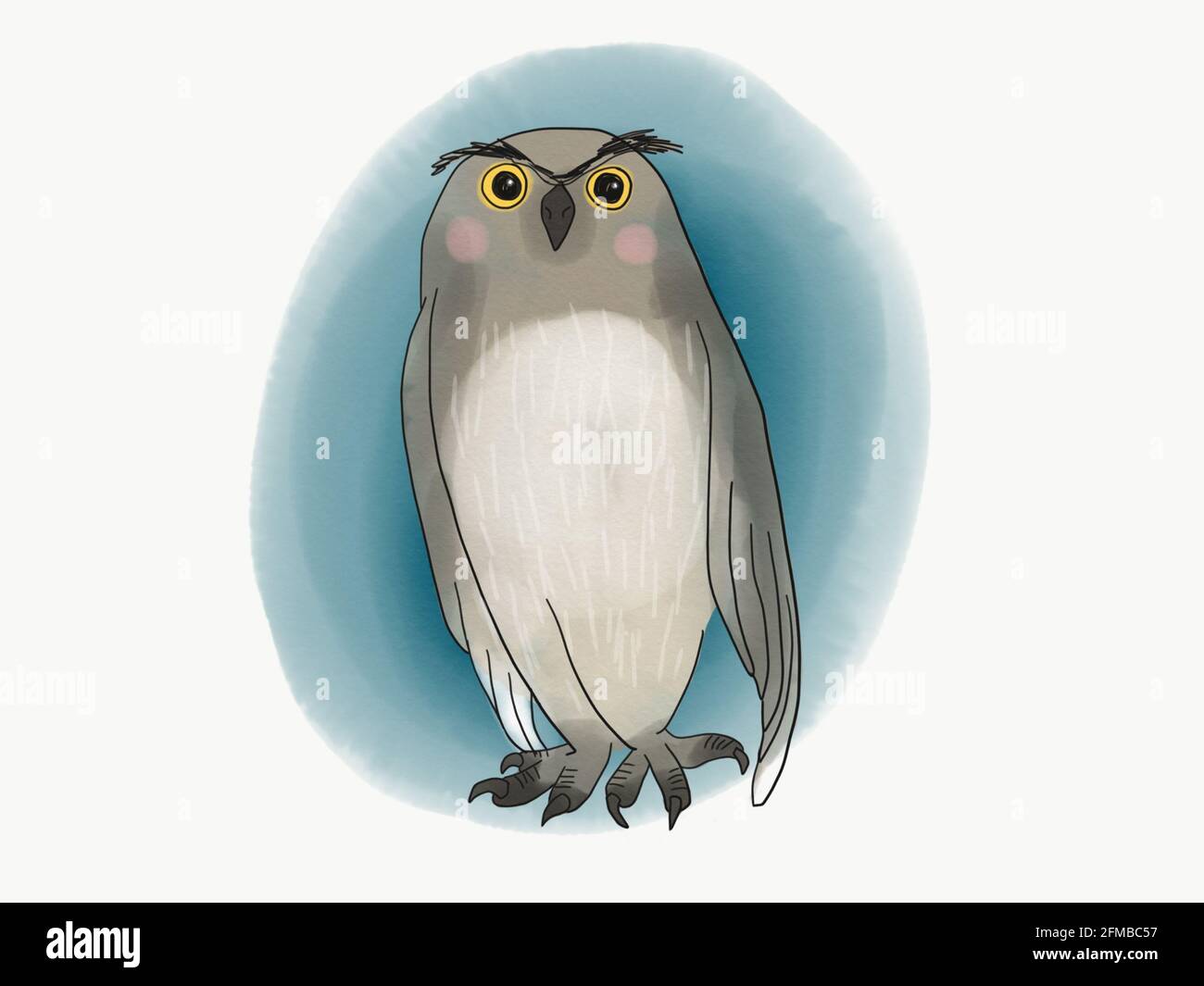 Watercolour Owl Illustration High Resolution Stock Photography and ...