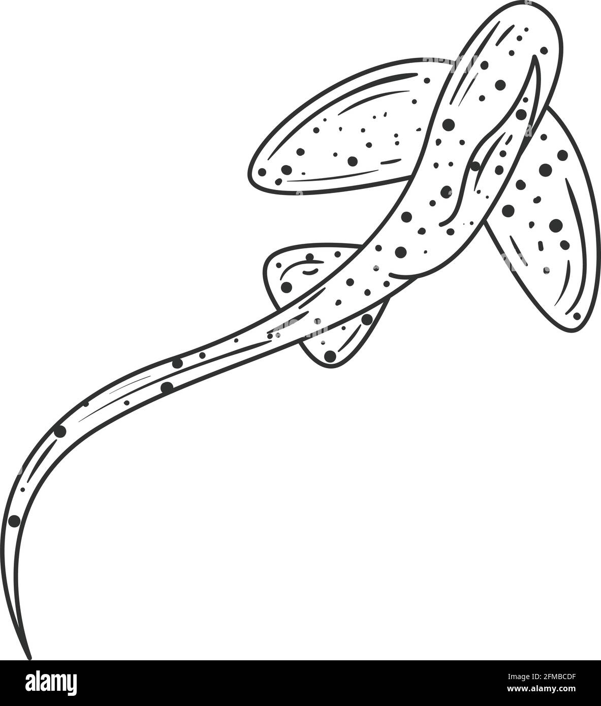 Stingray caribbean Stock Vector Images - Alamy