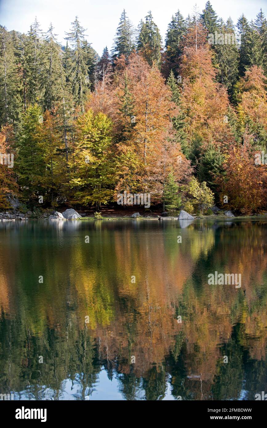 Lac vert france hi-res stock photography and images - Alamy