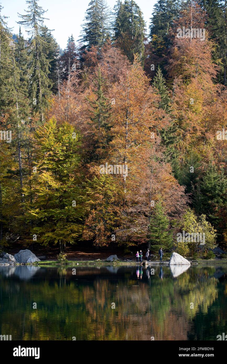 Lac vert france hi-res stock photography and images - Alamy