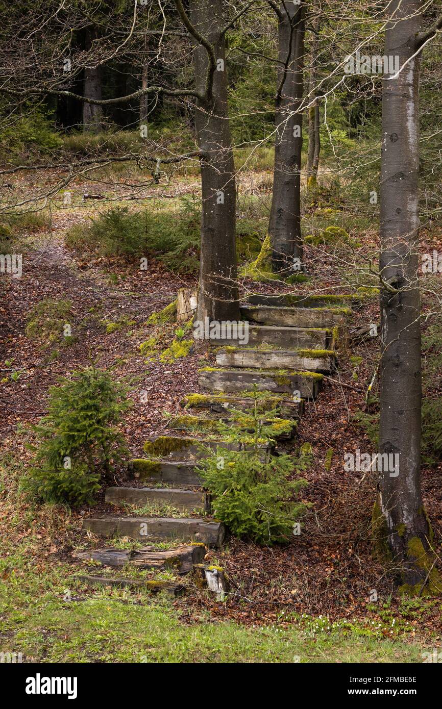 Poor trail condition hi-res stock photography and images - Alamy