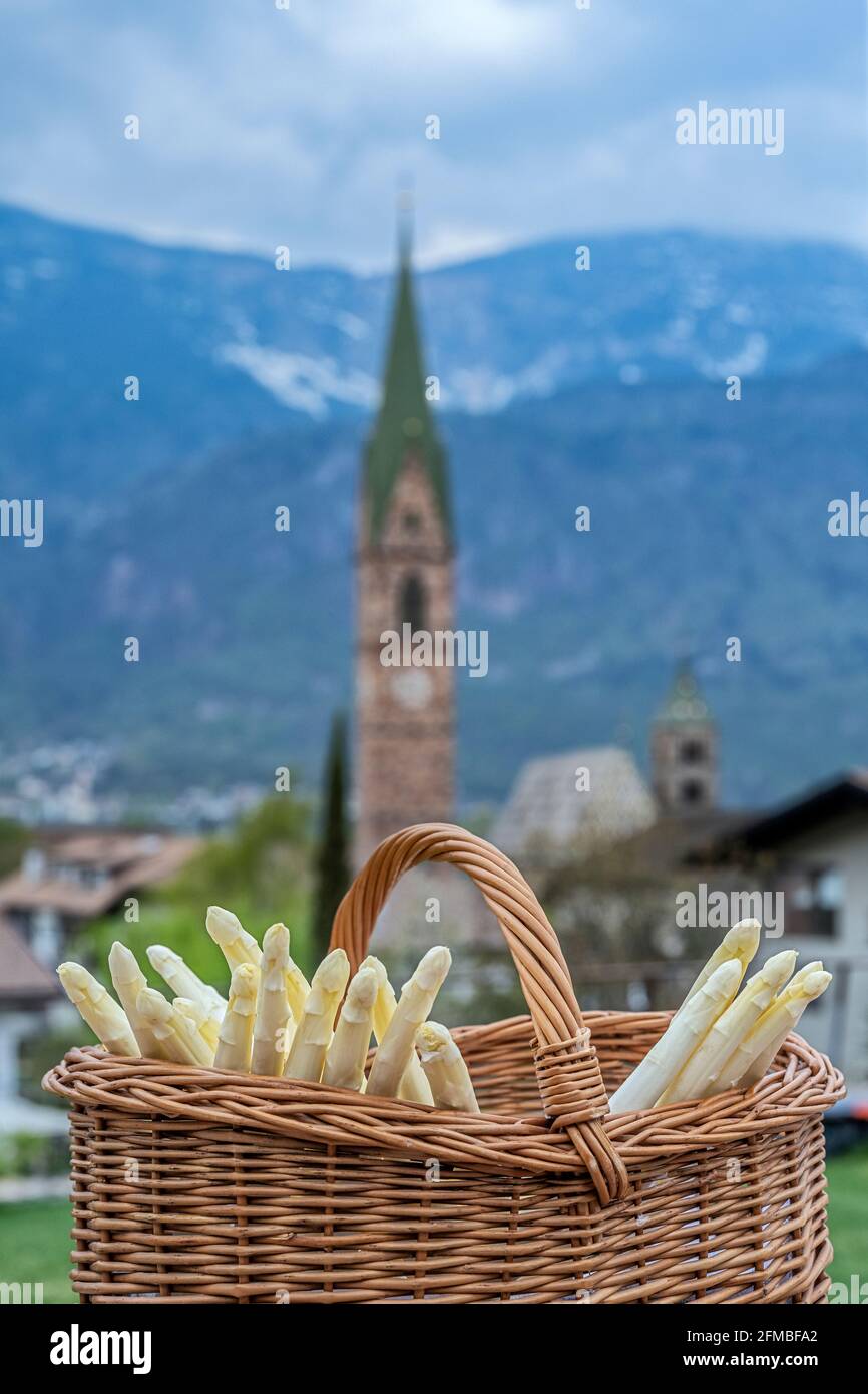 Terlan bolzano hi-res stock photography and images - Alamy