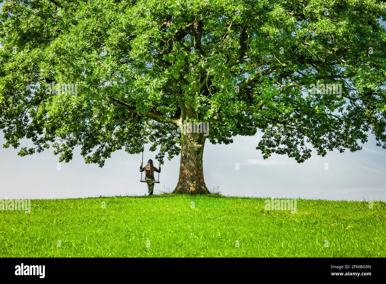 Oak tree one woman hi-res stock photography and images - Alamy