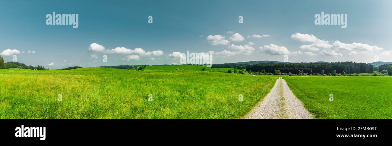Straight only hi-res stock photography and images - Alamy