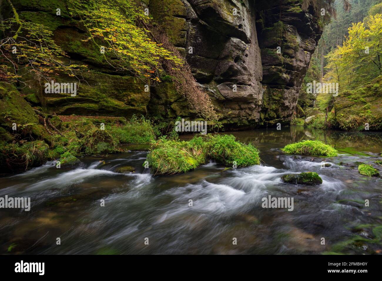 Edmundsklamm hi-res stock photography and images - Alamy