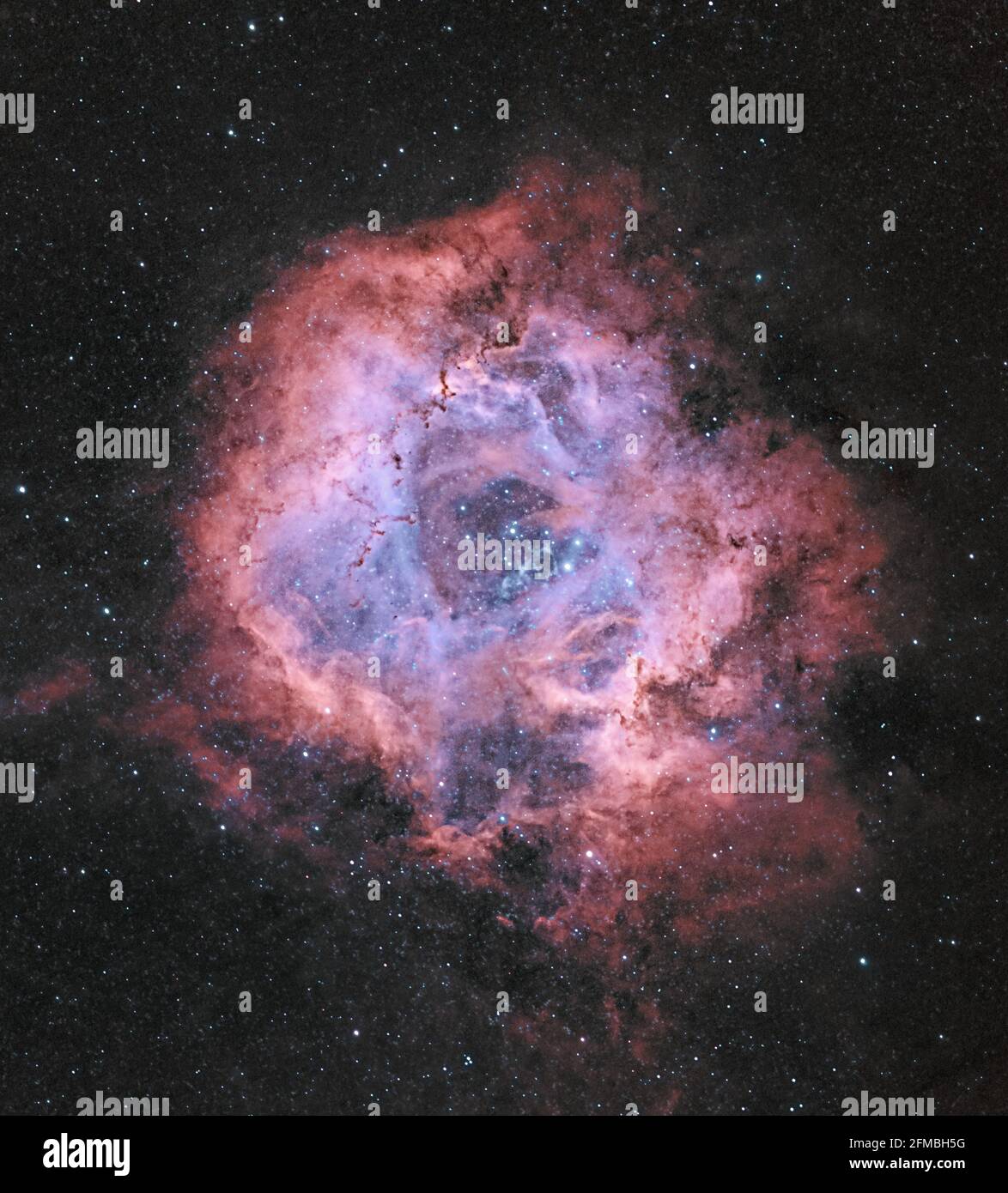 Rosette nebula hi-res stock photography and images - Alamy