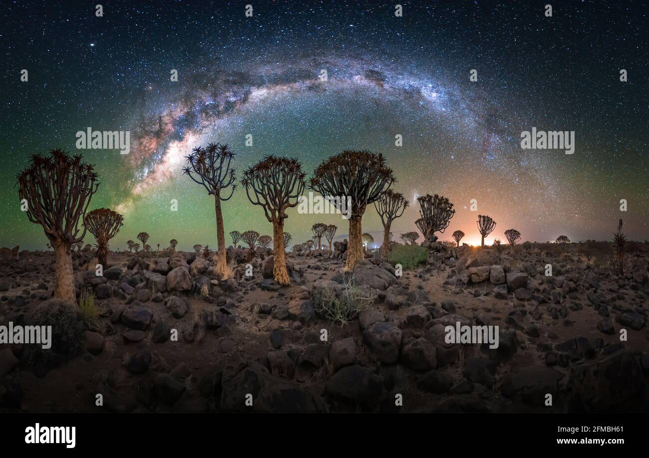 Milky Way over the Quiver Tree Forest in Namibia Stock Photo - Alamy
