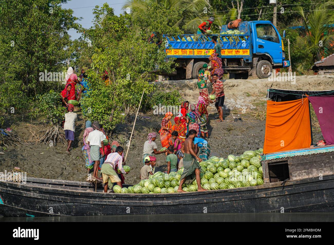 Loading watermelon hi-res stock photography and images - Alamy