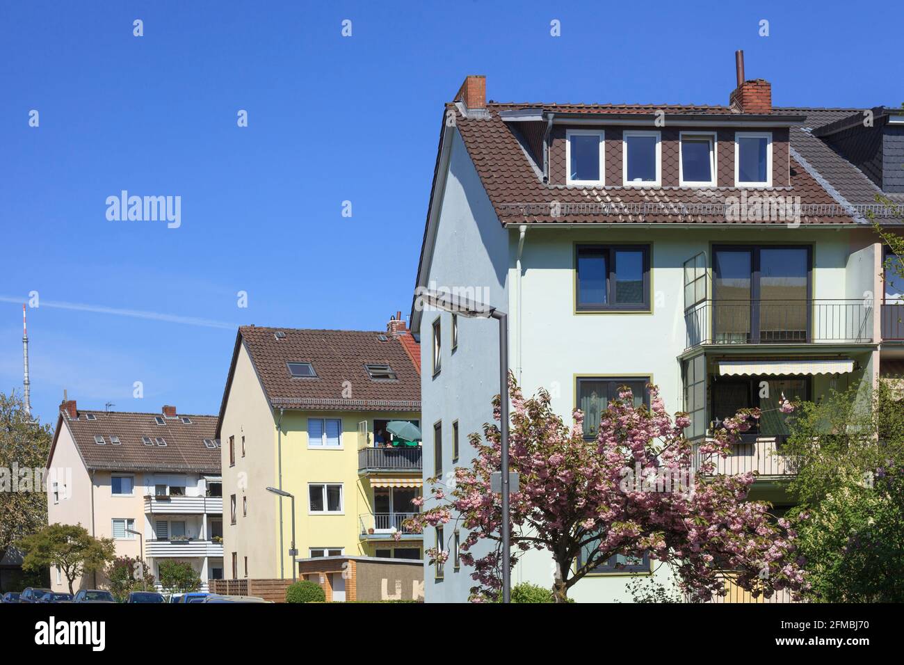 Modern, monotonous residential buildings, cherry blossom, Bremen ...