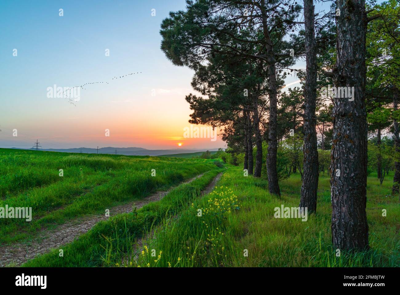 Sunrise over green fields wallpaper hi-res stock photography and images ...