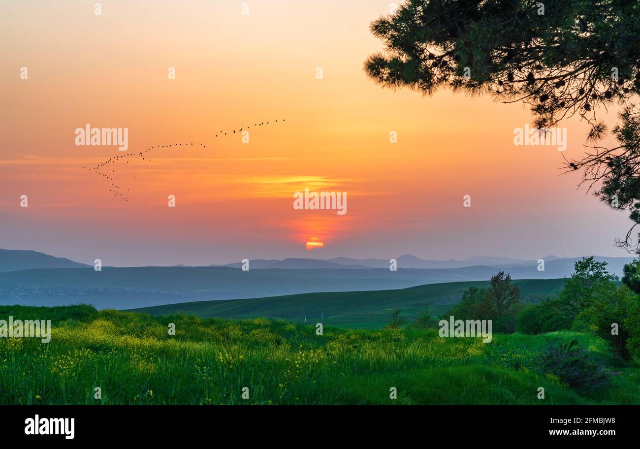 Sunrise over green fields wallpaper hi-res stock photography and images ...