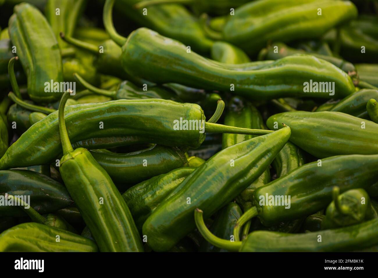 Close-up green vegetable for background, green pepper texture. Green ...
