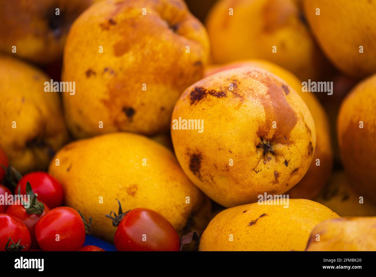 Close-up of bright fruits for background, texture. Yellow pears on a ...