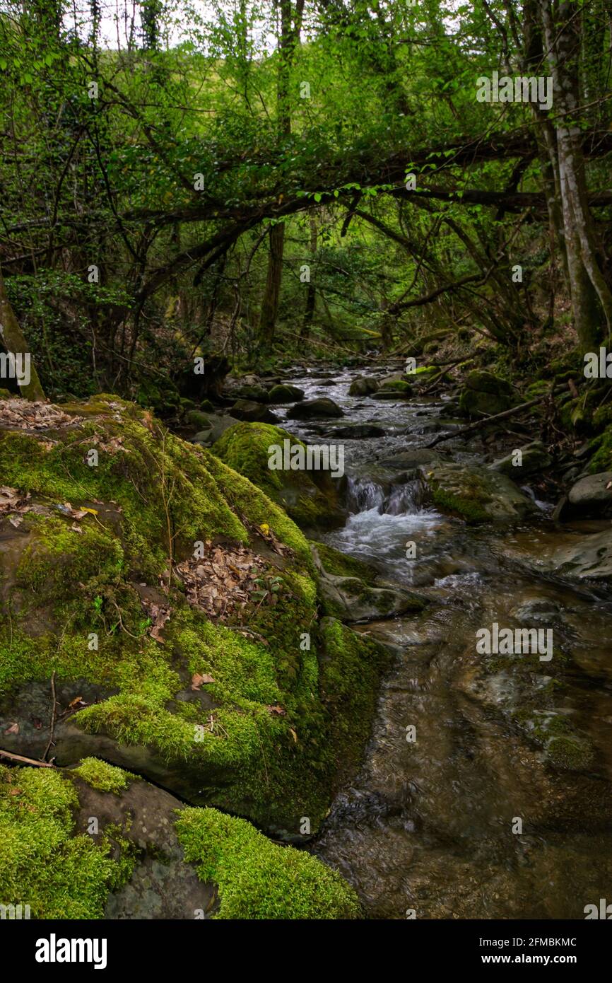 Environmental issues italy hi-res stock photography and images - Alamy