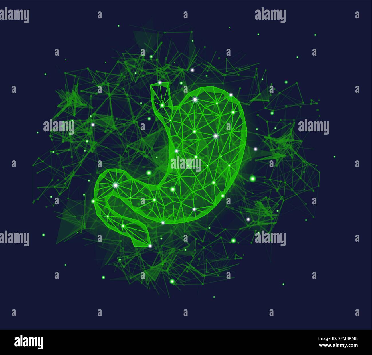 Human stomach hi-res stock photography and images - Alamy