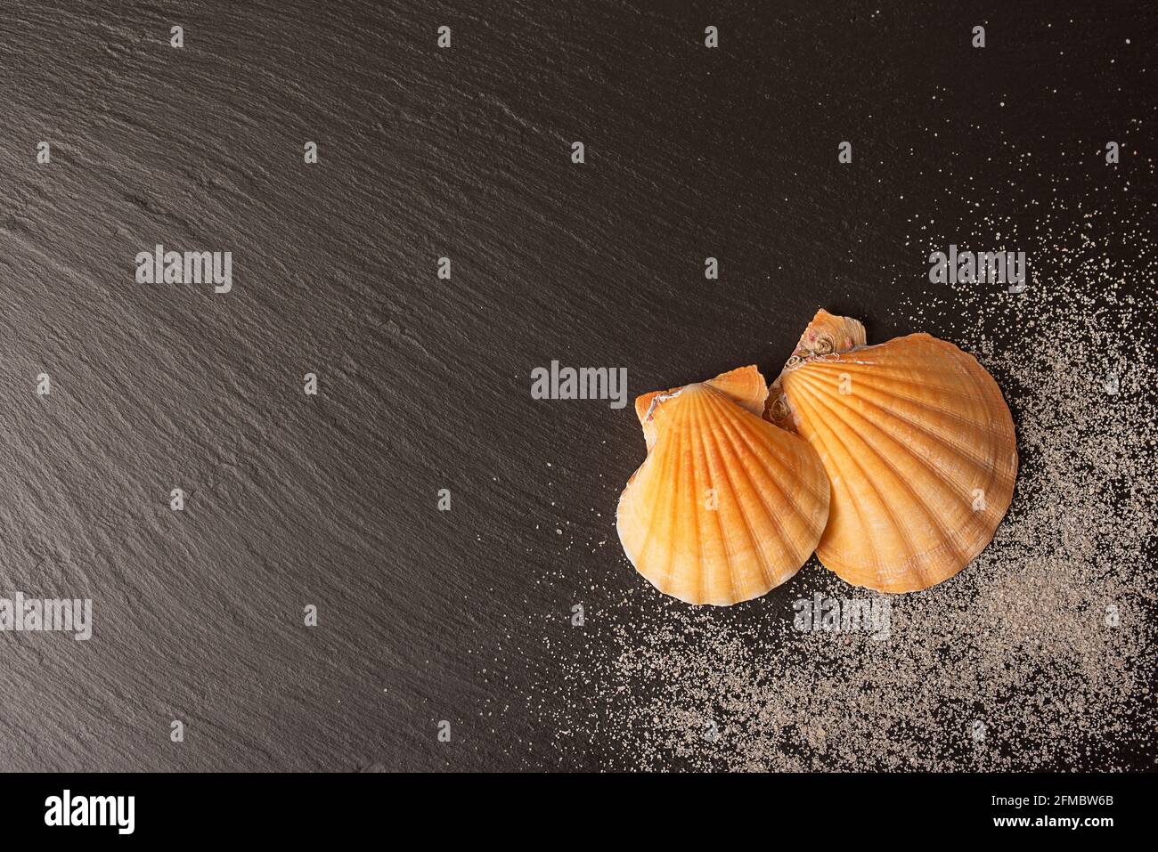 Summer time concept with two shells on a black background and sand ...