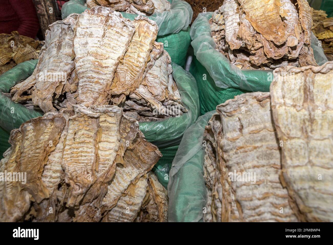 Bamboo roots, dried produce market, Hanoi, Vietnam Stock Photo - Alamy