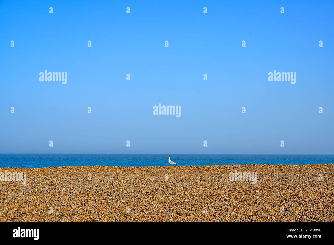British north sea coast hi-res stock photography and images - Alamy