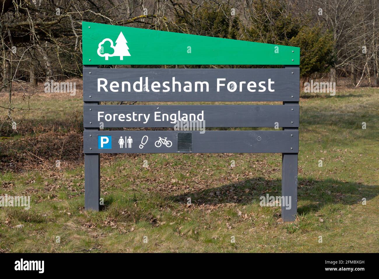 Forestry england hi-res stock photography and images - Alamy