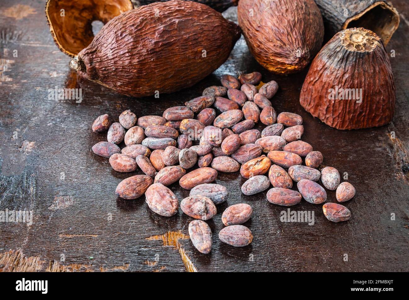 Cocoa seeds hi-res stock photography and images - Alamy