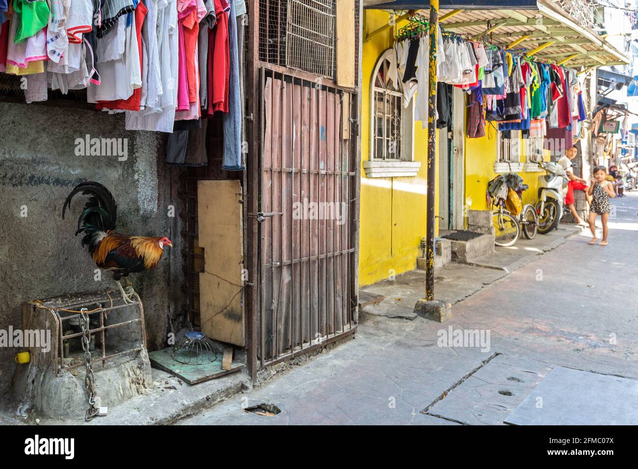 Street, Poor district of Manila, Philipines Stock Photo - Alamy