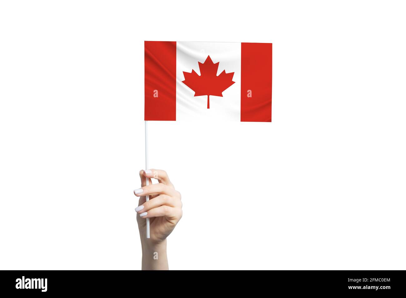 Beautiful female hand holding Canada flag, isolated on white background ...