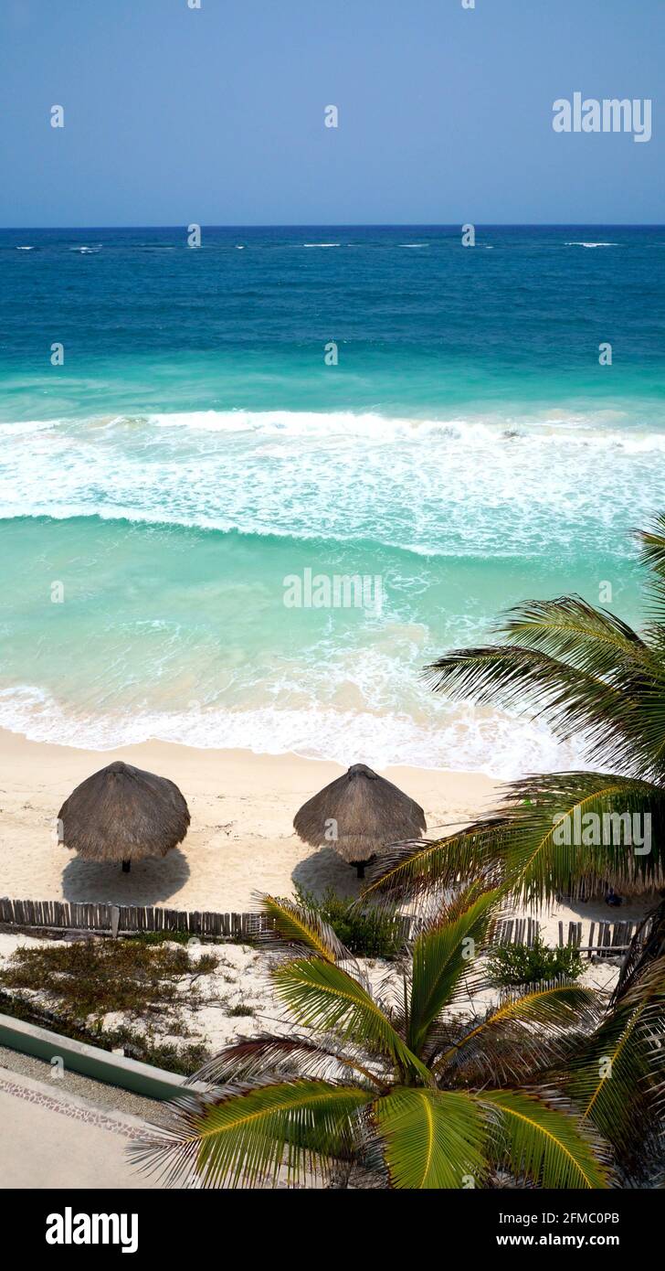 Sea Palm Beach umbrellas on the beach along the Caribbean Sea Mexico ...