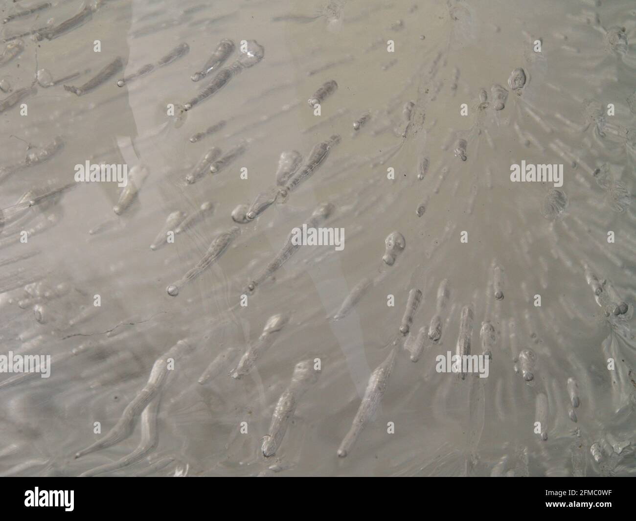 Ice inclusions hi-res stock photography and images - Alamy