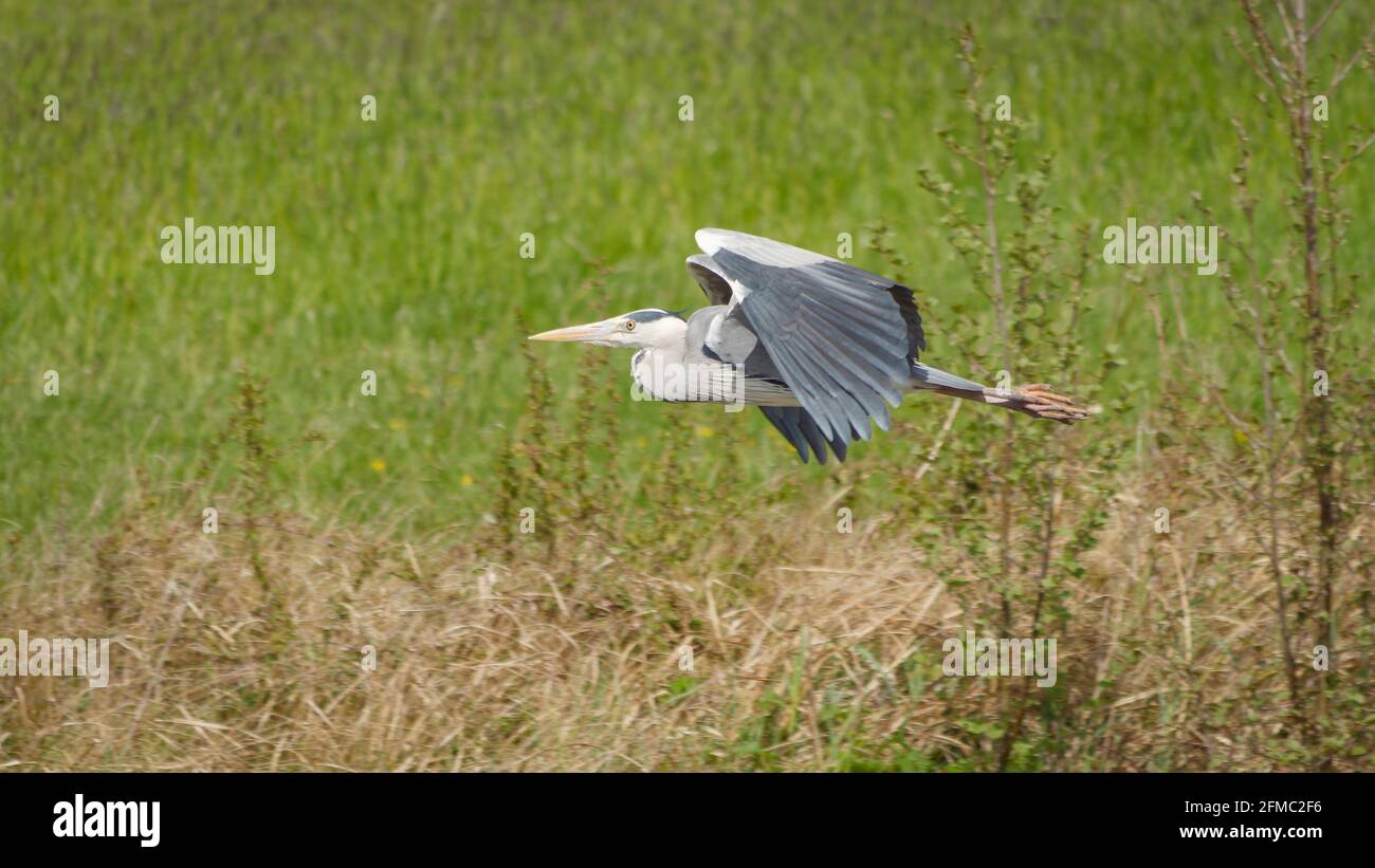 Flying water bed hi-res stock photography and images - Alamy